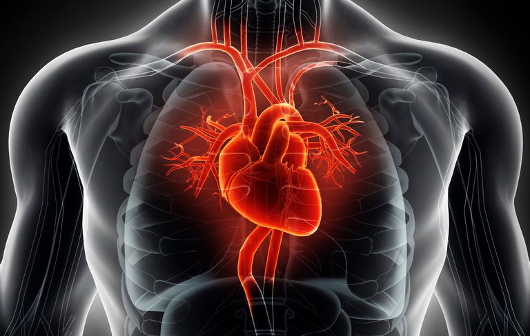 You Need To Start Adding Heart Rate Training To Your Workouts - Arena ... You Need To Start Adding Heart Rate Training To Your Workouts - Arena ...